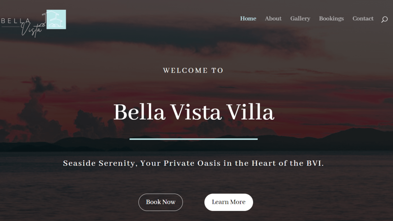 Our Website Designs - AAM Website Development